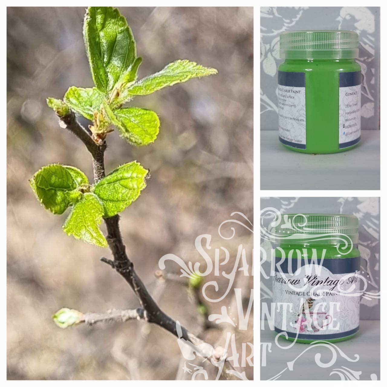 Sprouting Chloé - Sparrow Vintage Art